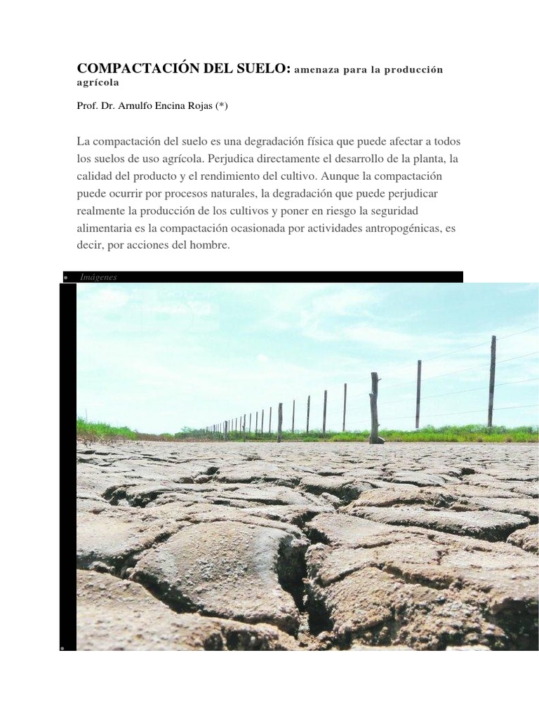 Compactación Del Suelo | PDF | Suelo | Agricultura