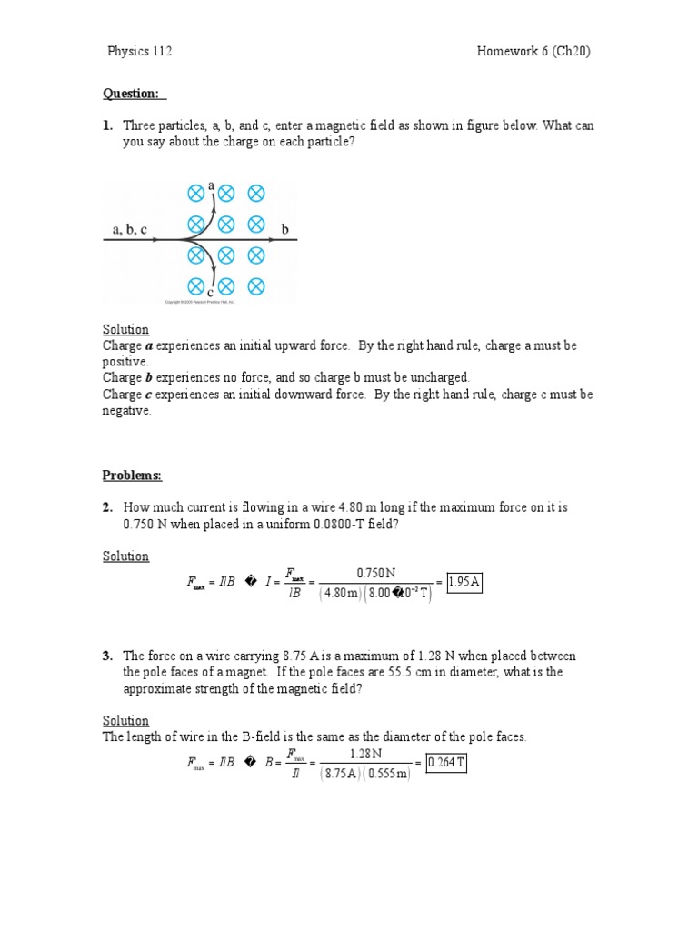 hw06 Solutions | PDF | Magnetic Field | Force