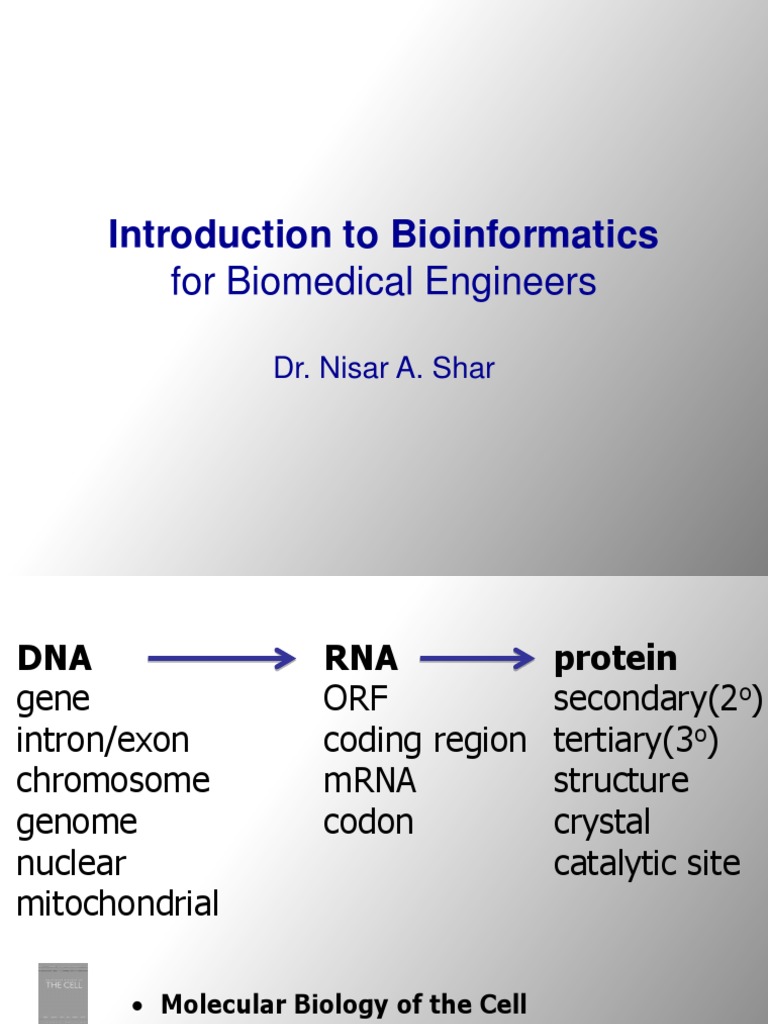 Introduction To Bioinformatics | PDF | Open Reading Frame | Genetic Code