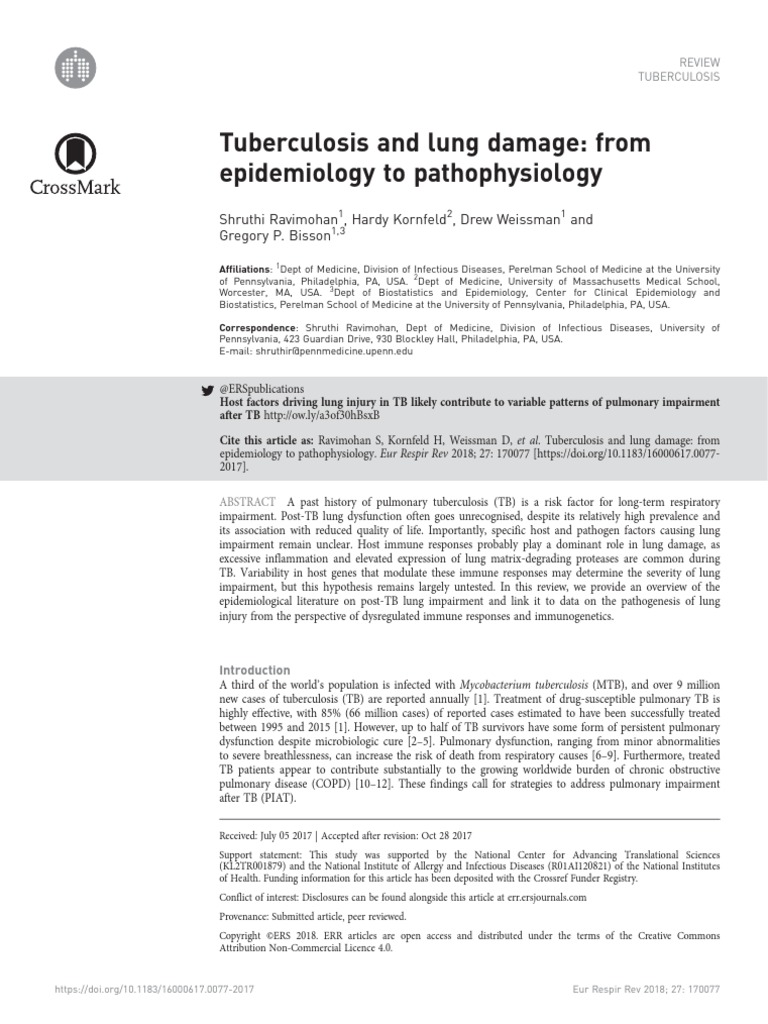 Tuberculosis and Lung Damage: From Epidemiology To Pathophysiology ...