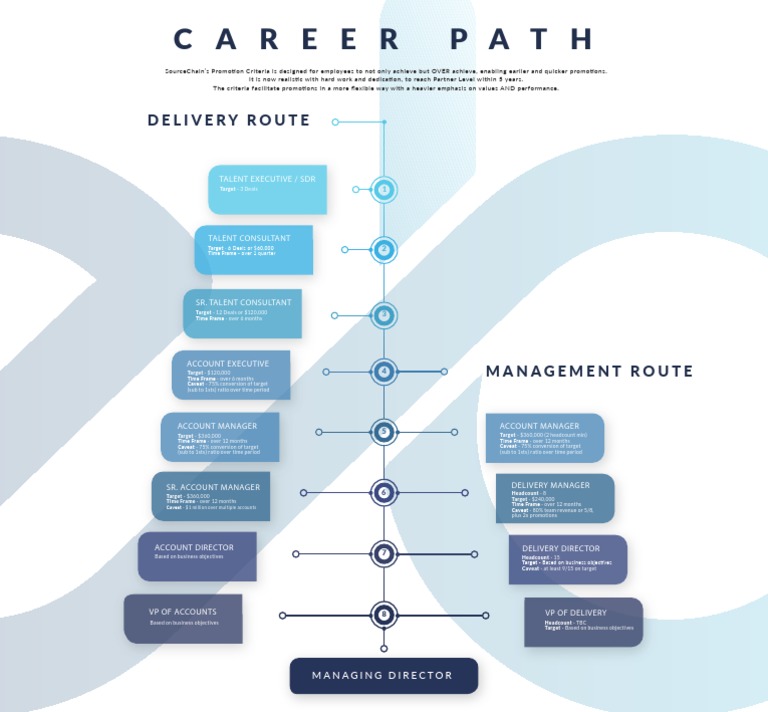 Delivery Career Path | PDF | Business | Leadership