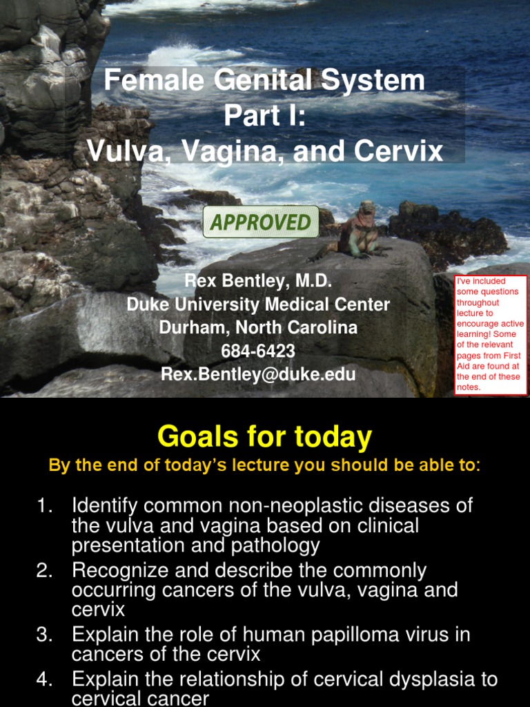 05.31.2 Pathology of The Female Reproductive System I Final | PDF ...