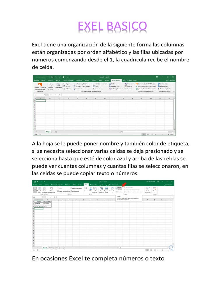 Excel Primer Video | PDF