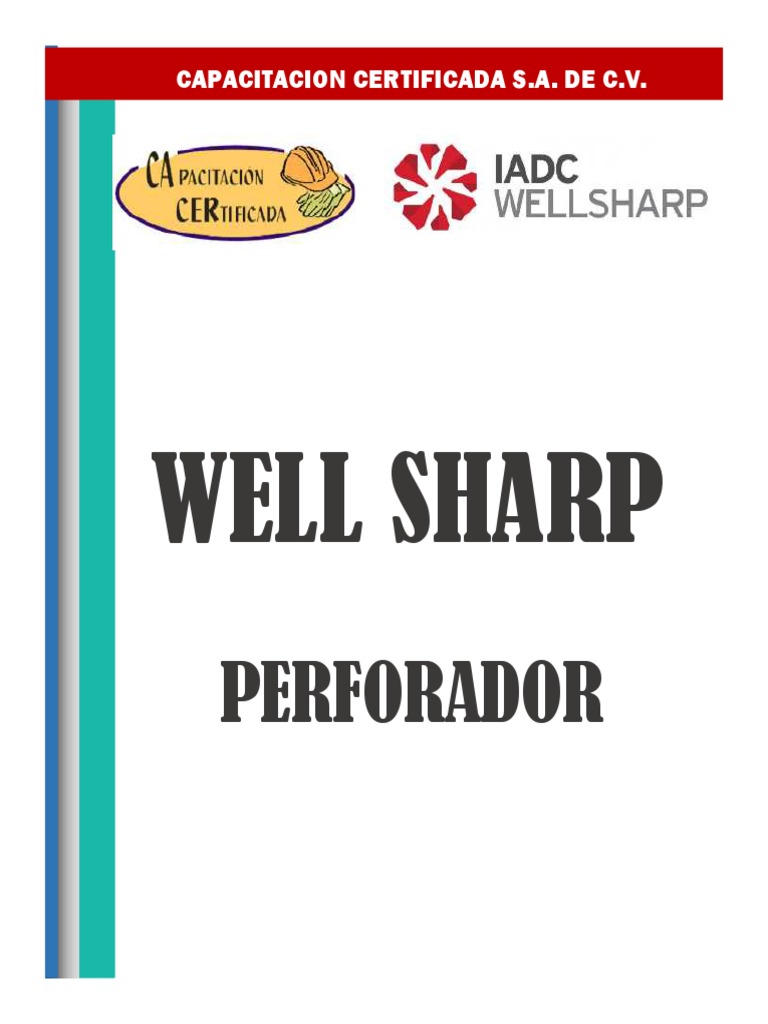 Wellsharp Driller | PDF | Cemento | Bomba
