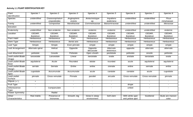Plant Identification | PDF | Leaf | Plants
