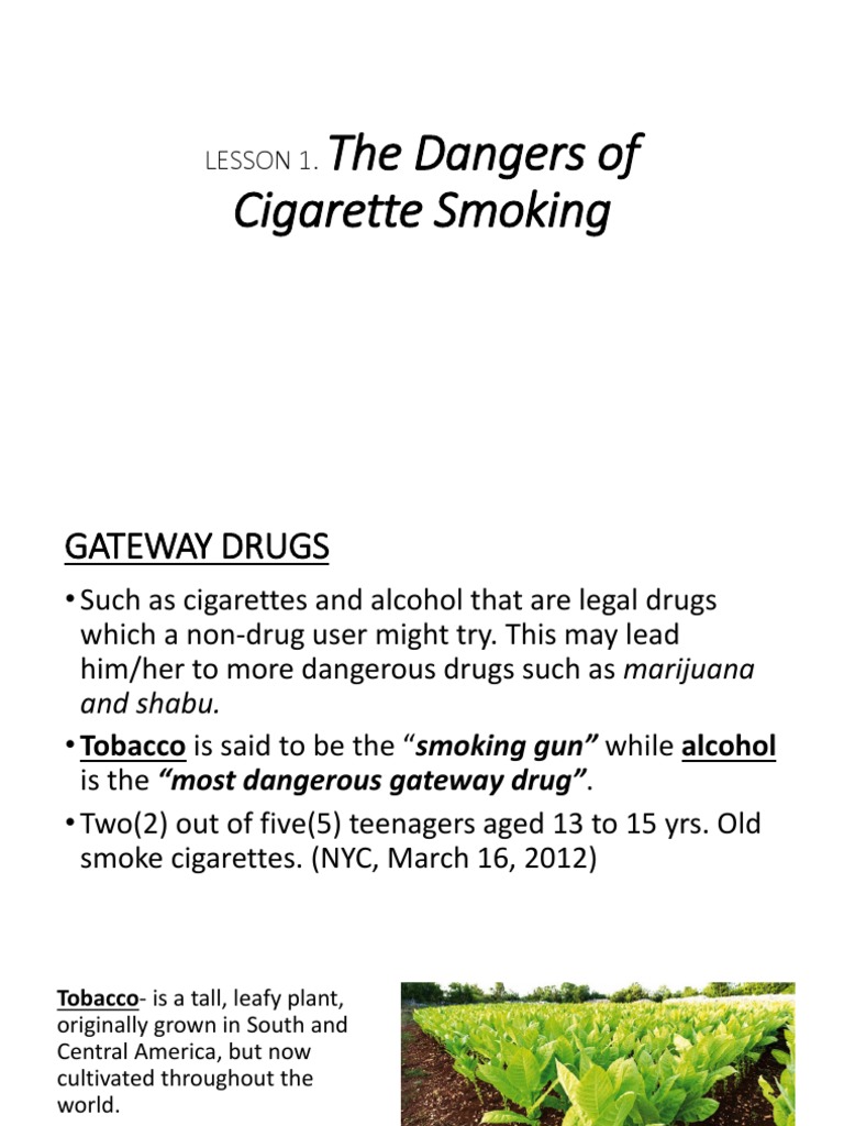 The Dangers of Cigarette Smoking: Lesson 1 | PDF | Tobacco Smoking ...