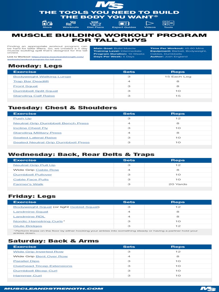 The Tools You Need To Build The Body You Want: Muscle Building Workout ...