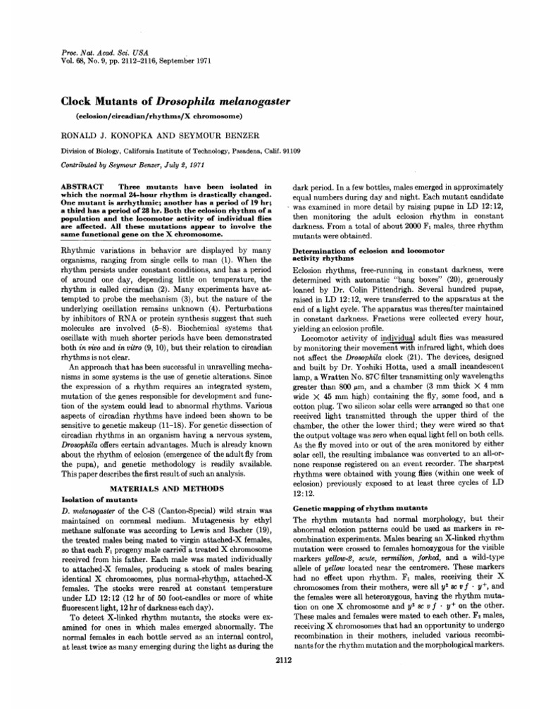 Clock Mutants of Drosophila: Melanogaster | PDF | Mutation | Circadian ...