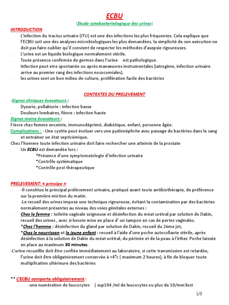 05 Ecbu | PDF | Infection urinaire | Urine
