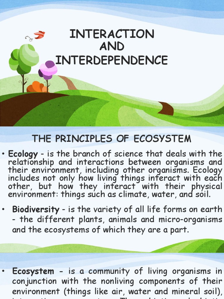 Interact and Interdependence | PDF | Grassland | Ecology