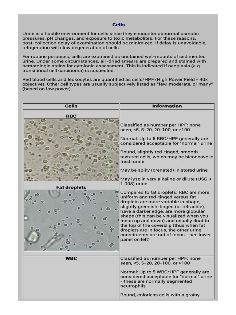 Cceellllss: Classified As Number Per HPF: None Normal: Up To 5 RBC/HPF ...