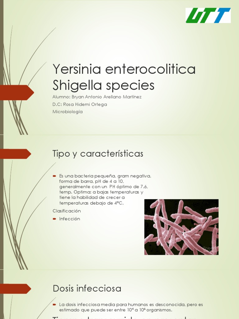 Yersinia Enterocolitica Pdf Diarrea Enfermedades Y Trastornos
