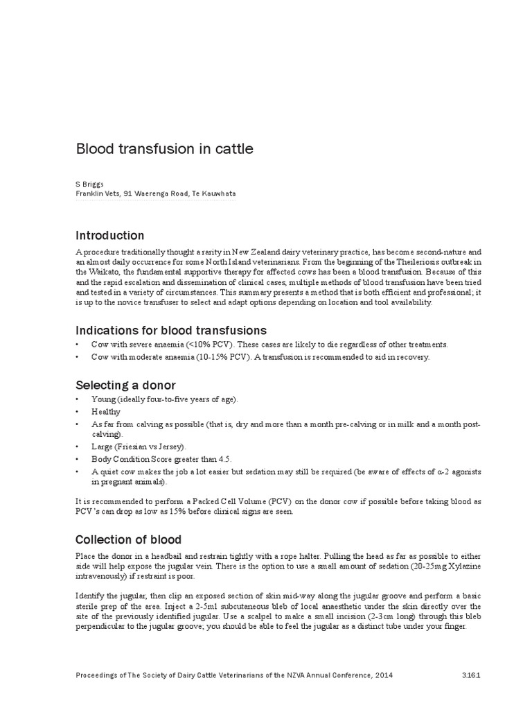 Blood Transfusion in Cattle | PDF | Intravenous Therapy | Cattle