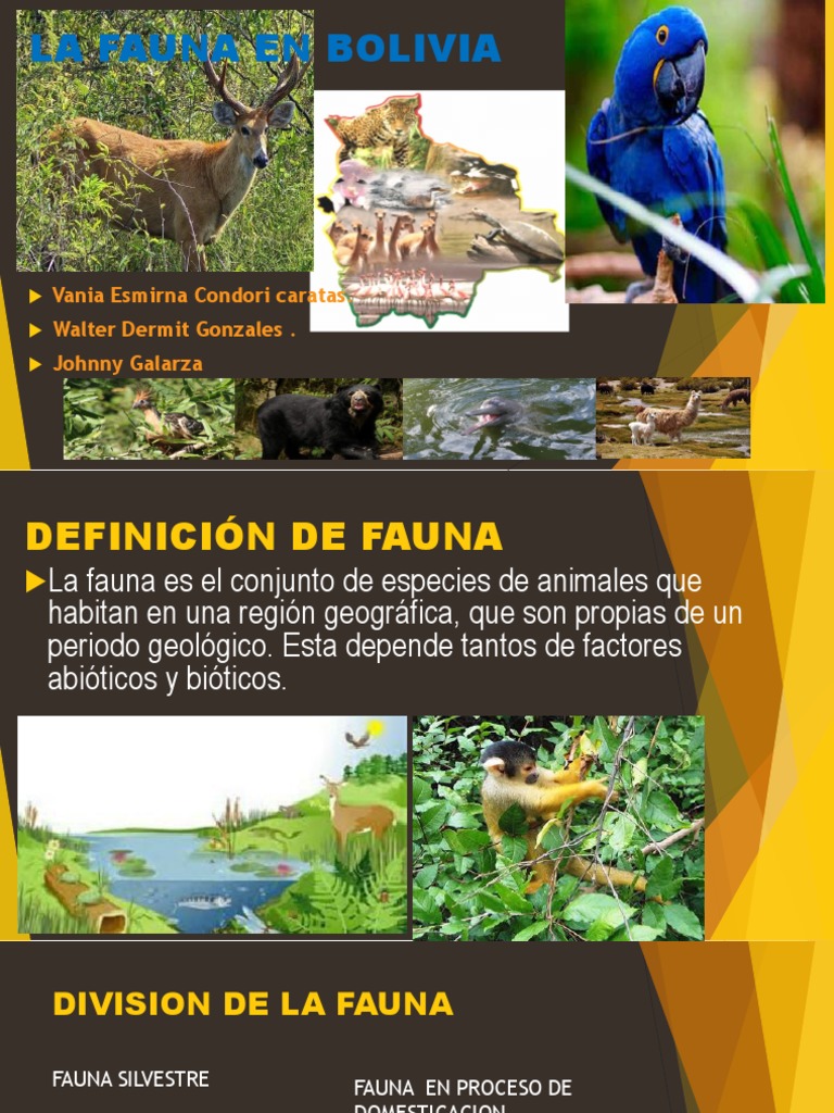 Mapa de Flora y Fauna de Bolivia | PDF | Jaguar | Biodiversidad