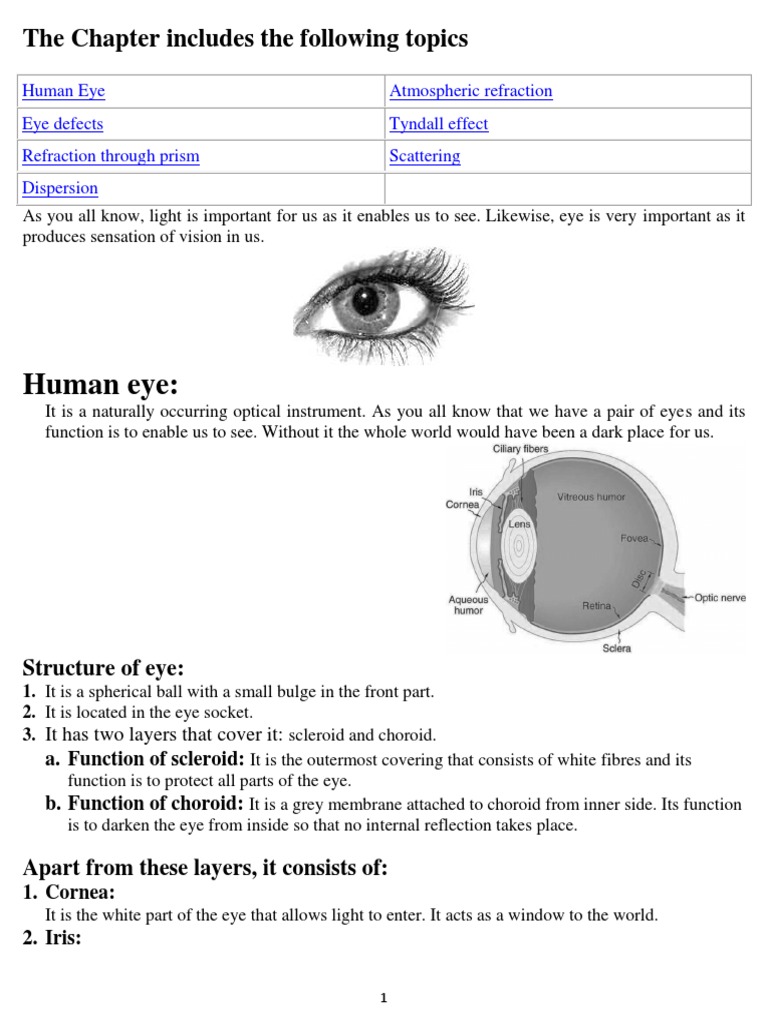 Class 10 Science: Human Eye & Light | PDF | Rainbow | Eye