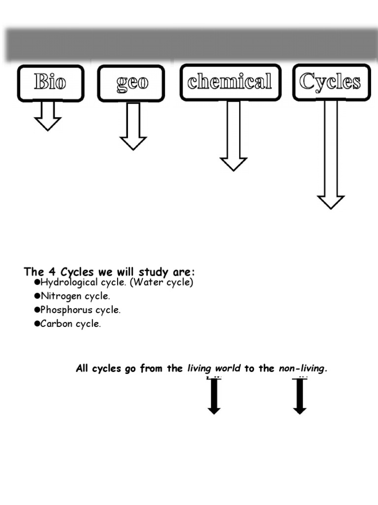 Biogeochemical Cycles | PDF | Photosynthesis | Water Cycle