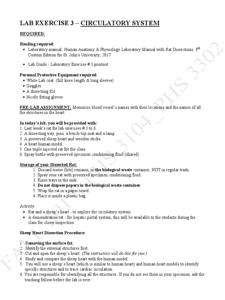 Lab Exercise 3 - Circulatory System | PDF | Heart Valve | Aorta