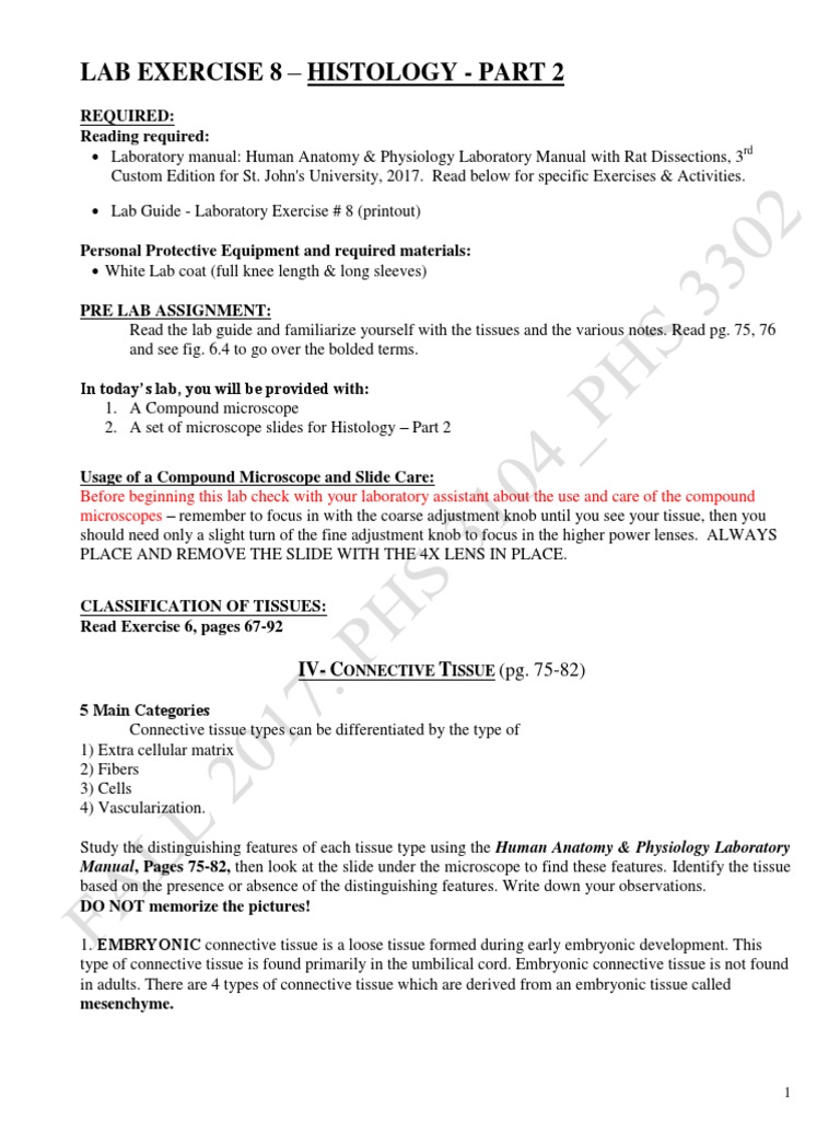 Lab Exercise 8 - Histology - Part 2: IV-C T | PDF | Connective Tissue ...