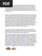 Tiger Anatomy and Skeletal Structure | PDF | Vertebral Column ...