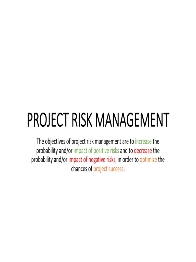Project Risk Management | PDF | Risk Management | Data Analysis
