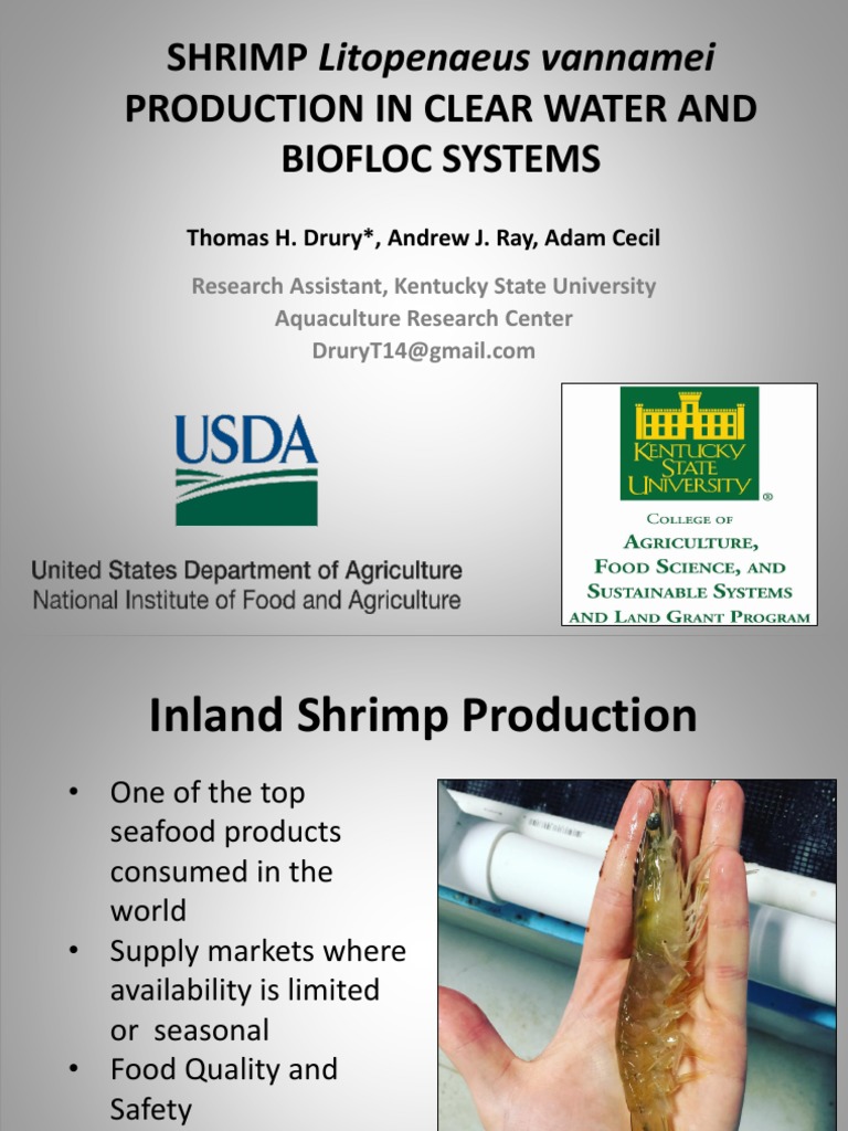Shrimp Litopenaeus Vannamei Production in Clear Water and Biofloc Systems PDF | PDF | Isotope ...
