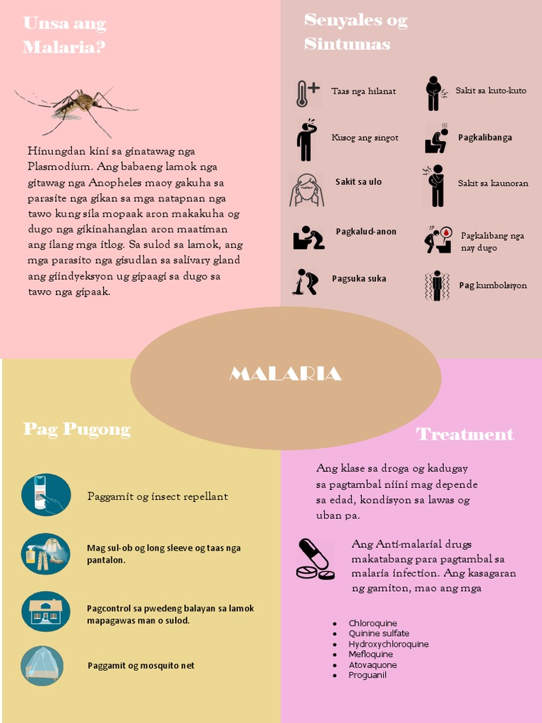 Infographic Malaria | PDF