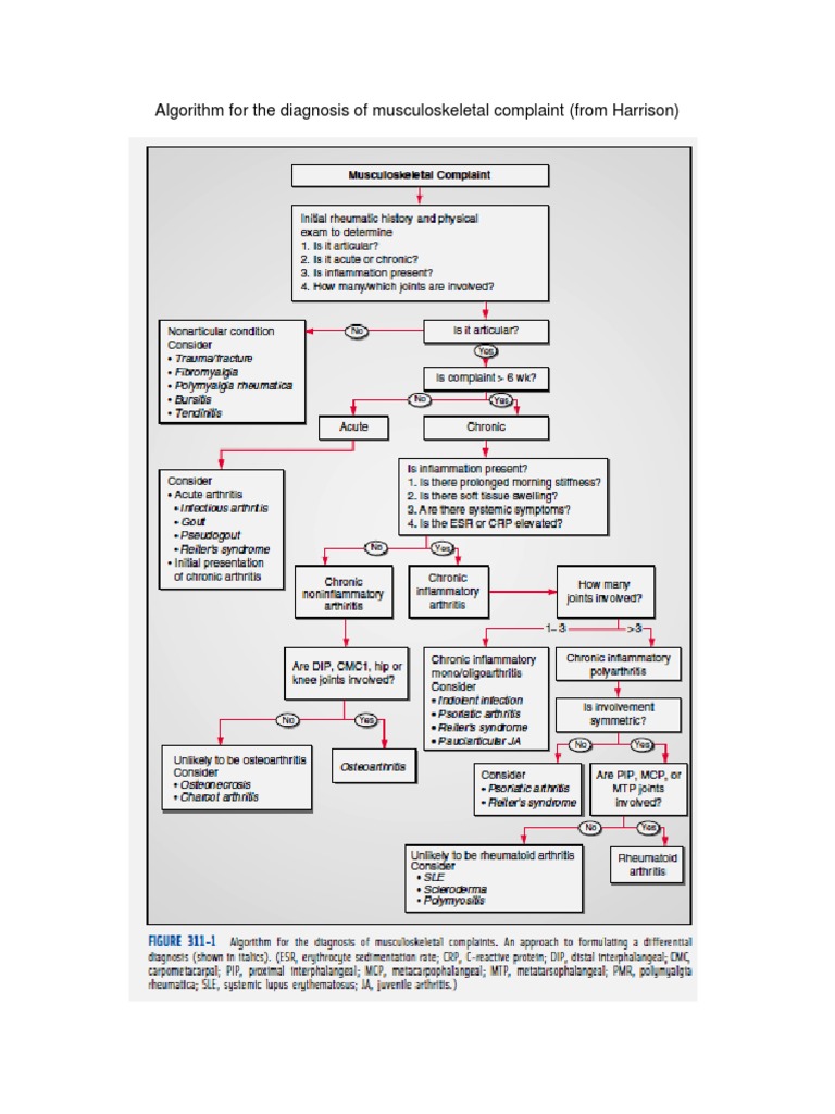 Algorithm For The Diagnosis of Musculoskeletal Complaint | PDF