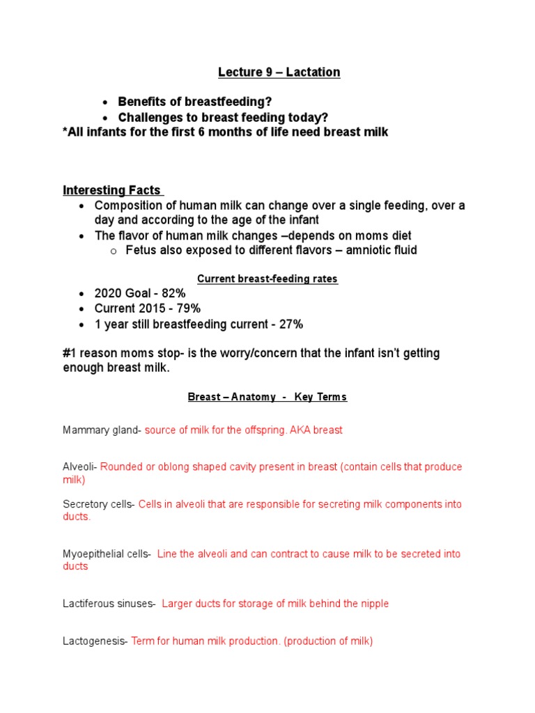 Lecture 9 Lactation Current Breast Feeding Rates Pdf Breast Milk