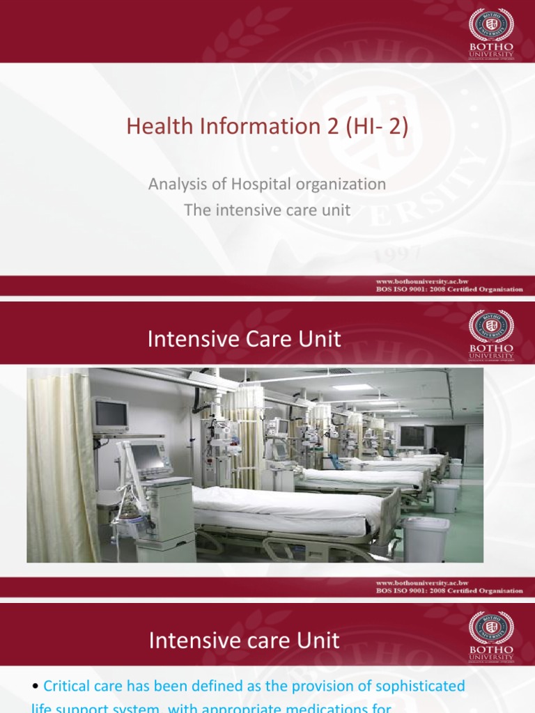 Analysis of Organization and Functions of an Intensive Care Unit | PDF ...