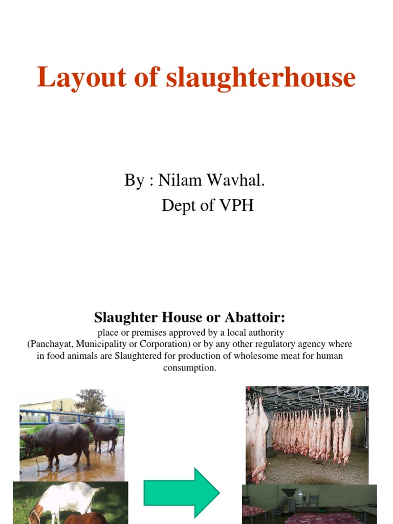 Layout of Slaughterhouse: By: Nilam Wavhal. Dept of VPH | PDF ...