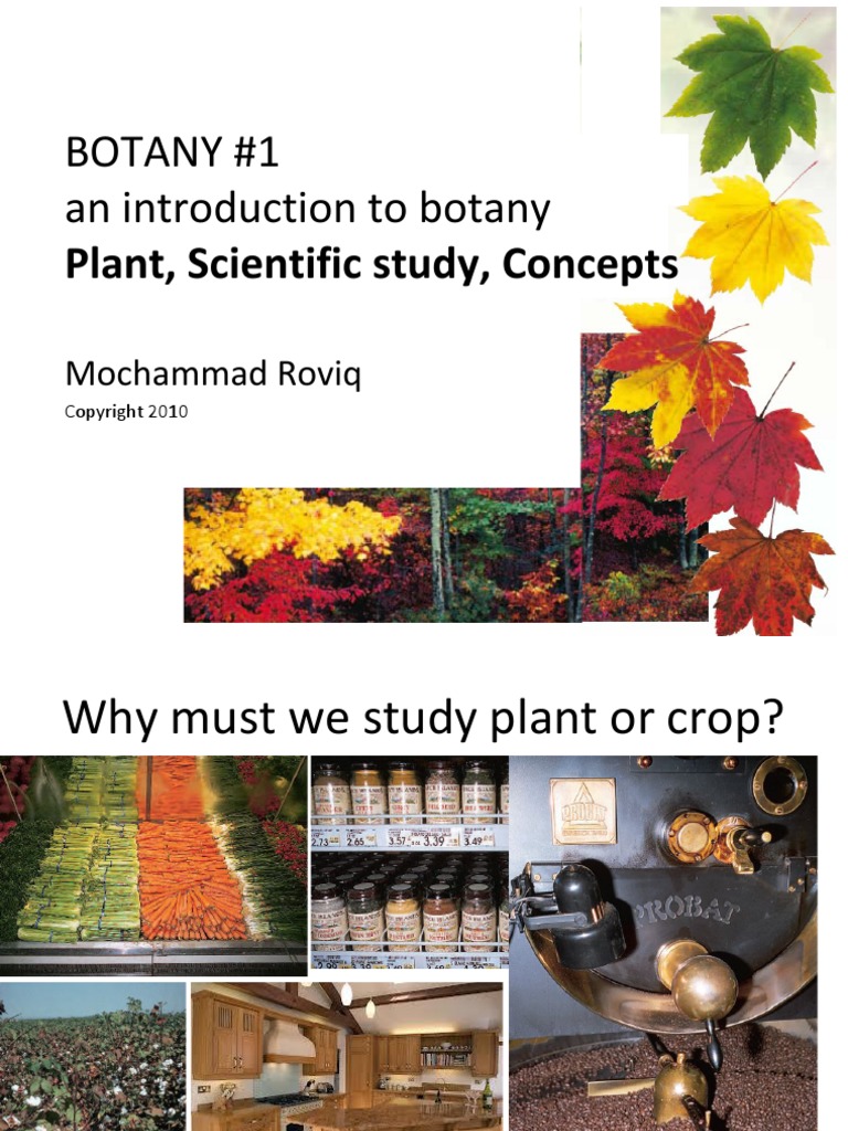 1# Lectr - Botany - 1 Concepts of Botany An Introducton To Plant ...