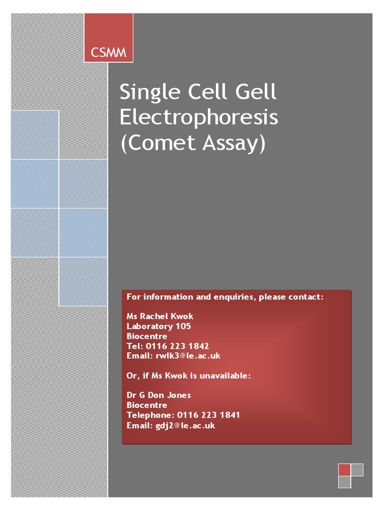 Single Cell Gel Electrophoresis | PDF | Molecular Biology | Biology