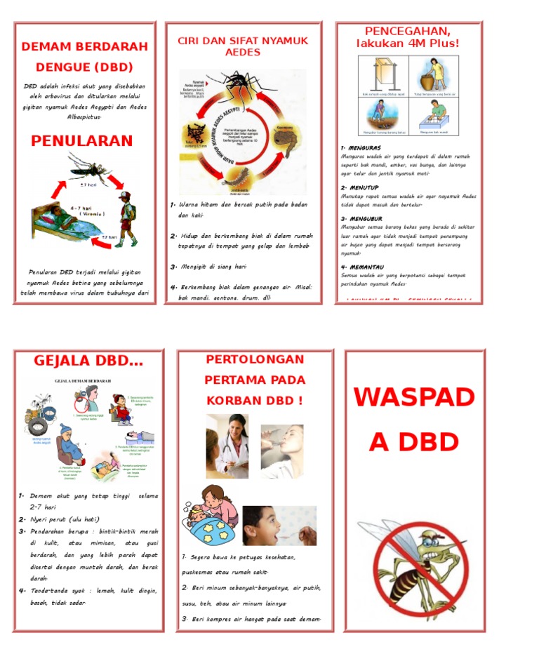 Leaflet DBD | PDF