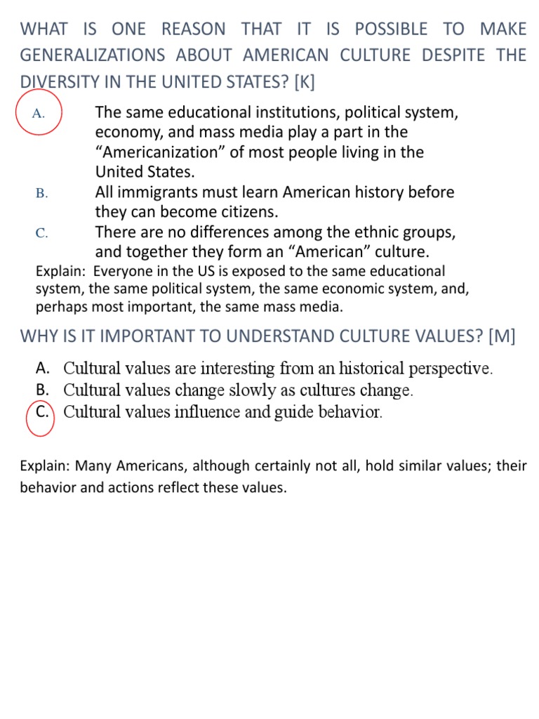 American Culture: Generalizations & Values | PDF | Politics | Social ...