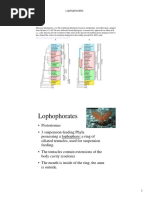 ScopeImage 9.0 User Manual | PDF | Installation (Computer Programs ...