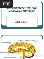 Neuro Vital Signs Assessment Procedure and Checklist | PDF | Senses | Foot