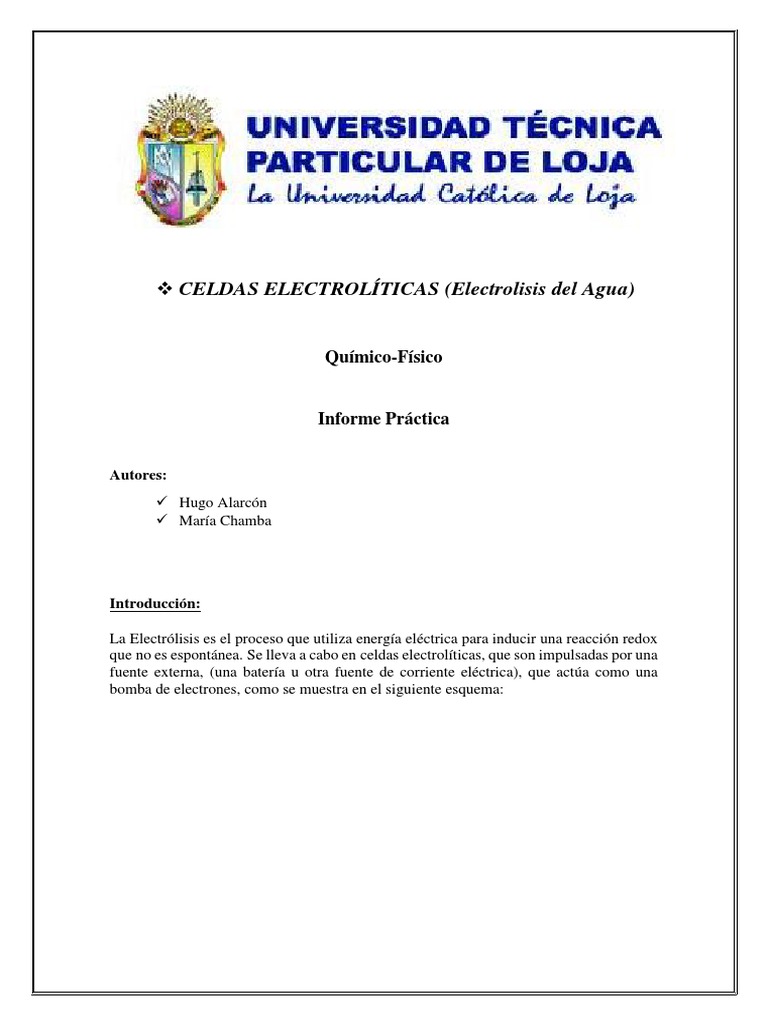 Celdas Electrolíticas | PDF | Redox | Electrodo