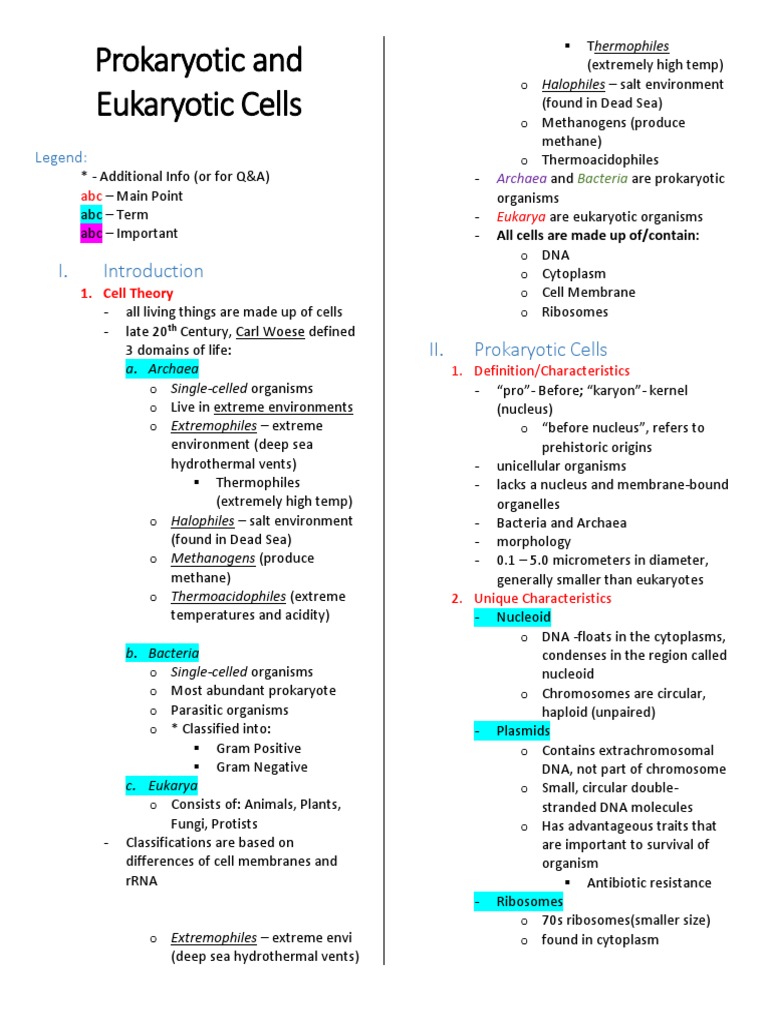 Prokaryotic and Eukaryotic Cells Reviewer | PDF | Endoplasmic Reticulum ...