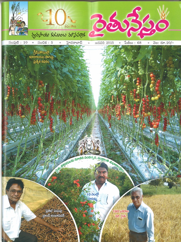 Raythu Nestham PDF | PDF