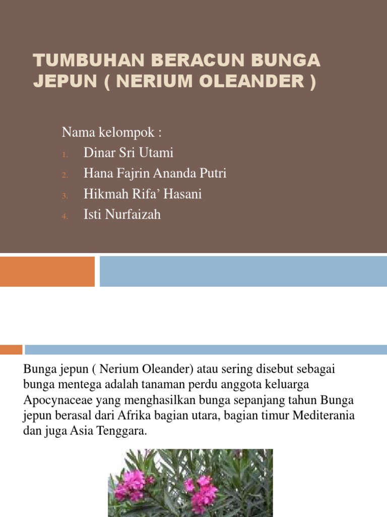 TUMBUHAN BERACUN BUNGA JEPUN (Nerium Oleander) - 1 | PDF