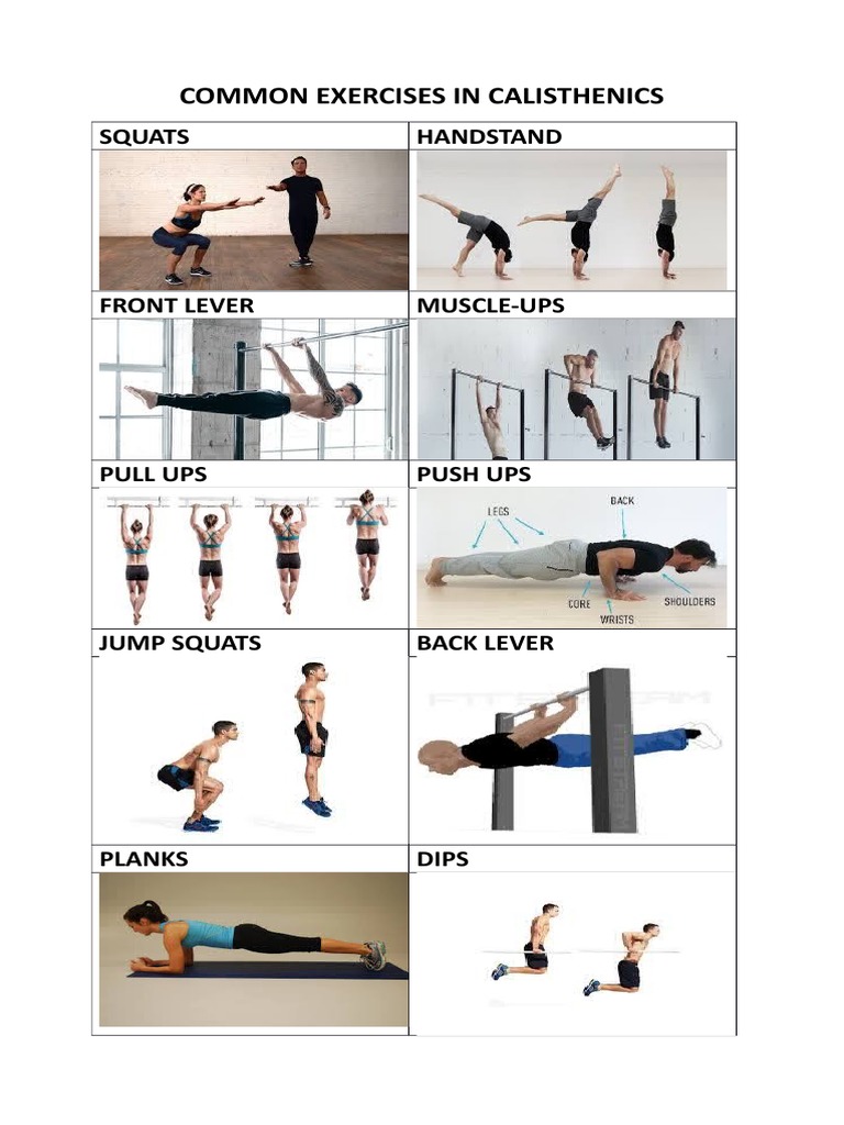 Common Exercises in Calisthenics | PDF