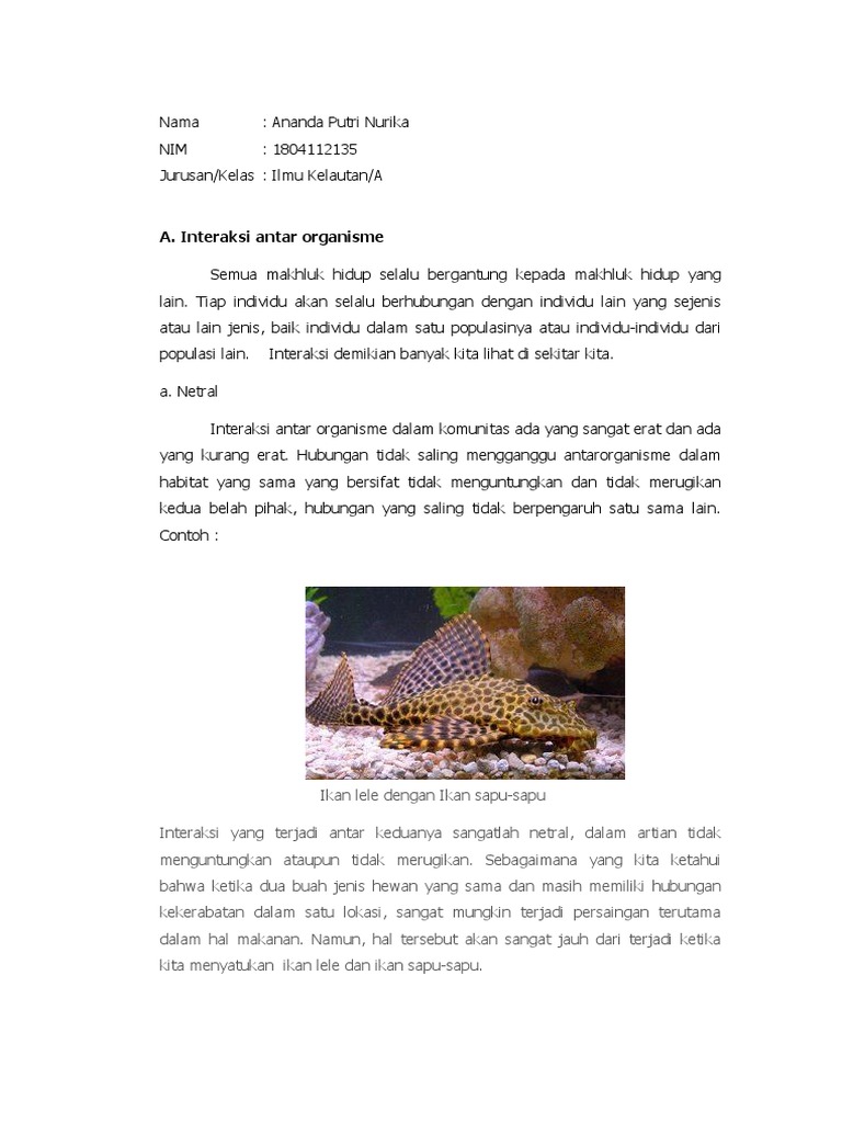 EKOLA | PDF