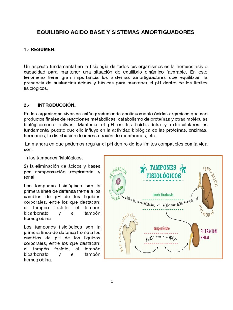 Equilibrio Acido Base y Sistema Amortiguadores | PDF | Solución tampón | Ácido