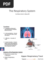 Draw Label Color Respiratory System | PDF