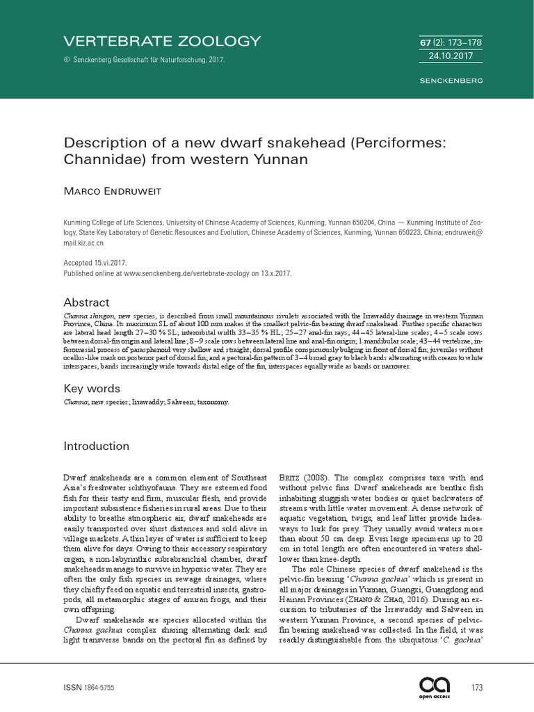 Channa Shingon | PDF | Anatomical Terms Of Location | Nature