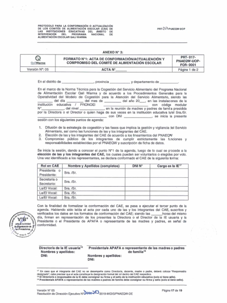 Acta de Conformacion CAE | PDF