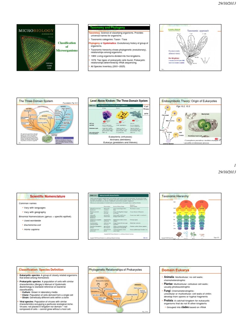 Classification of Microorganisms: Taxonomy and Phylogeny | PDF ...