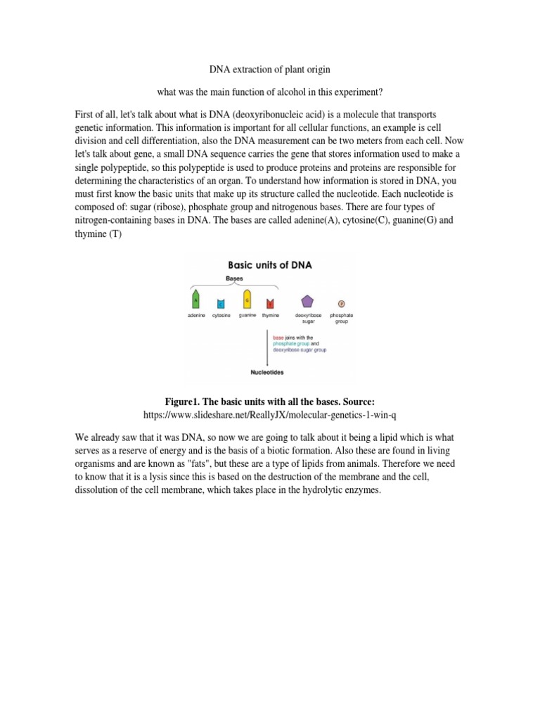 DNA Extraction of Plant Origin | PDF