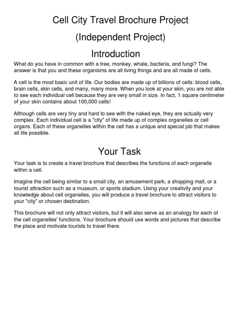 Cell City Guide | PDF | Endoplasmic Reticulum | Cell (Biology)