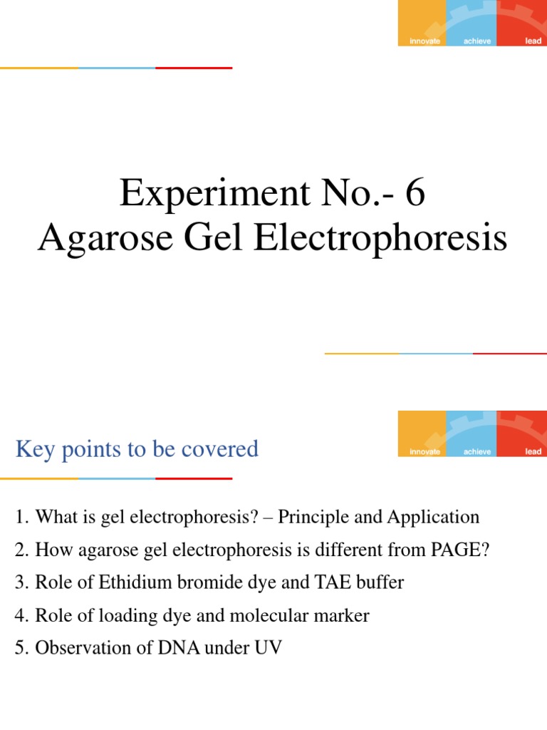 Experiment No.-6 Agarose Gel Electrophoresis | PDF | Gel Electrophoresis | Agarose Gel ...